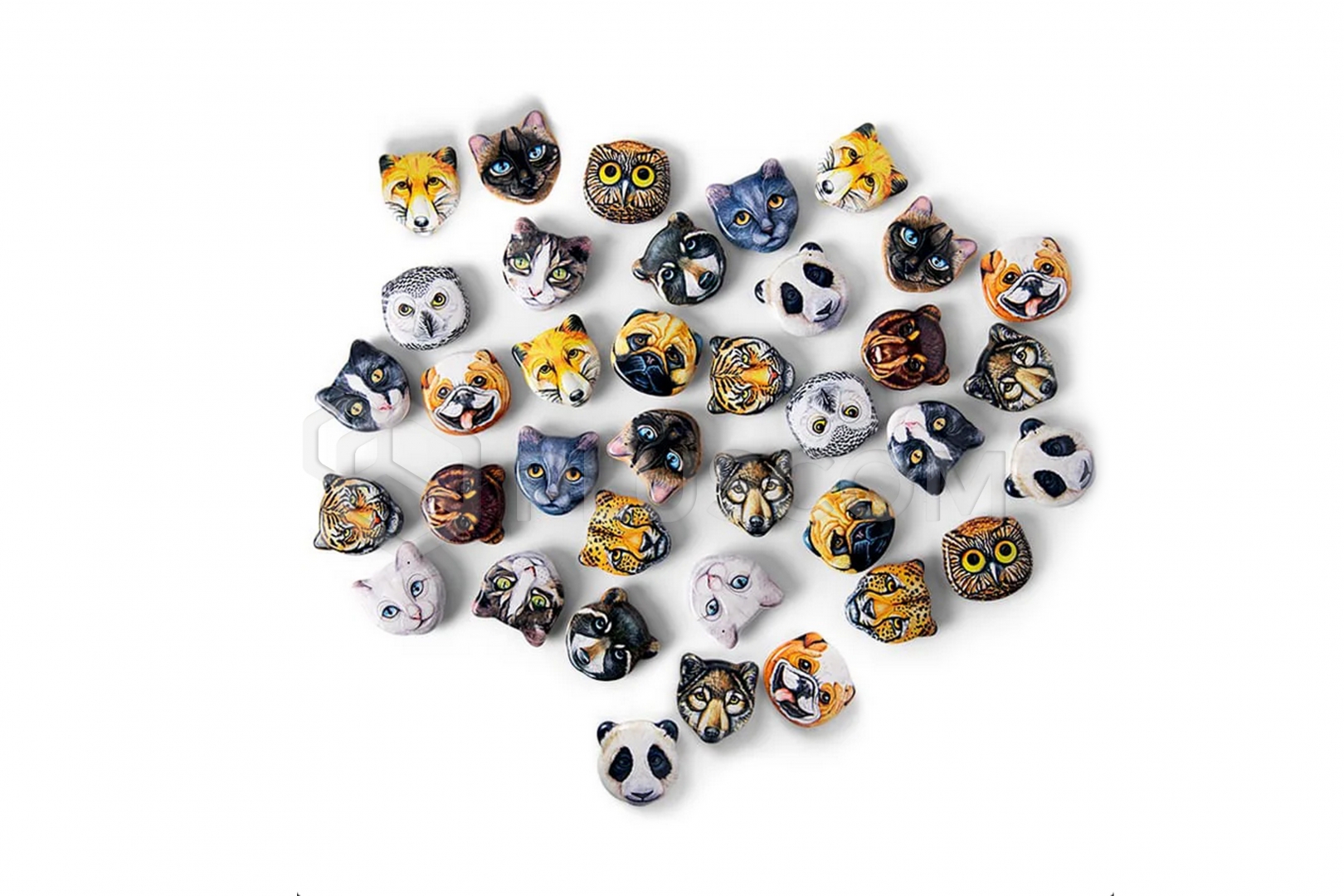 Roger Technology AKY 2-channel copy remote control